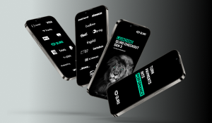 Boka demo | Payment Performance | Qliro